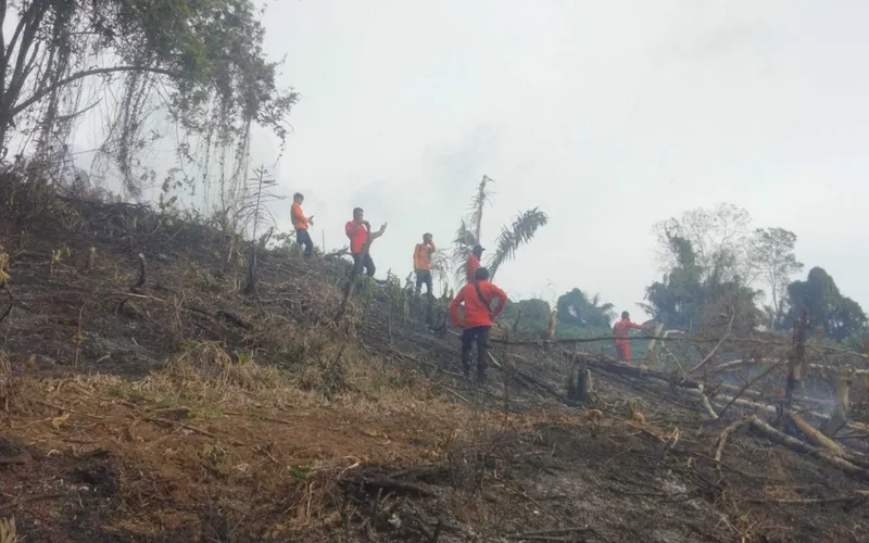 Pengertian, Sifat, dan Contoh Preventif